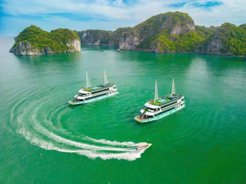 From Ninh Binh : Ha Long Bay 1 Day Cruise Kayaking - Ha Noi - What to Expect from the Tour