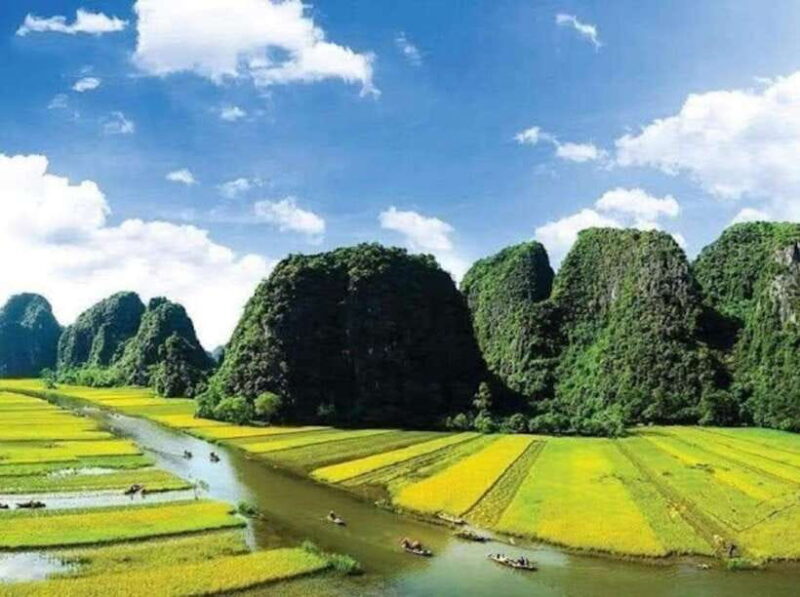From Ninh Binh: Hoa Lu, Trang An, Mua Cave, & Bich Dong Tour - Transportation and Guide