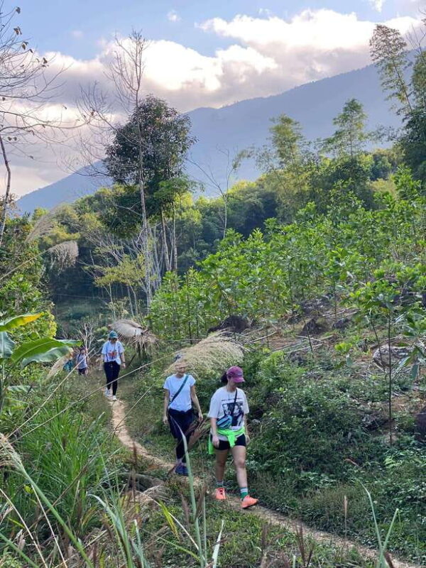 From Ninh Binh: Pu Luong 3D2N Classic Tour, finish in Hanoi - Key Points