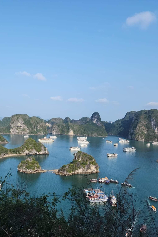From Ninh Binh : Ruby Ha Long Bay Overnight Cruise 2D 1N - Transportation, Timing, and Group Size