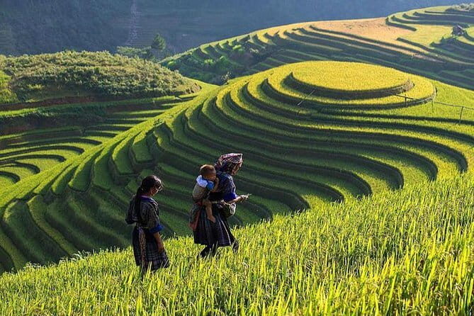 From Ninh Binh to Cuc Phuong National Park, Trekking and Jungle - The Sum Up