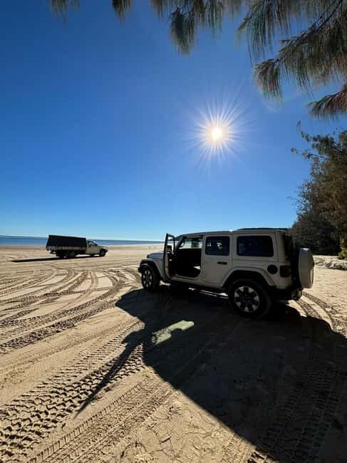 From Noosa: 4WD Beach and Walking Adventure - What Travelers Say