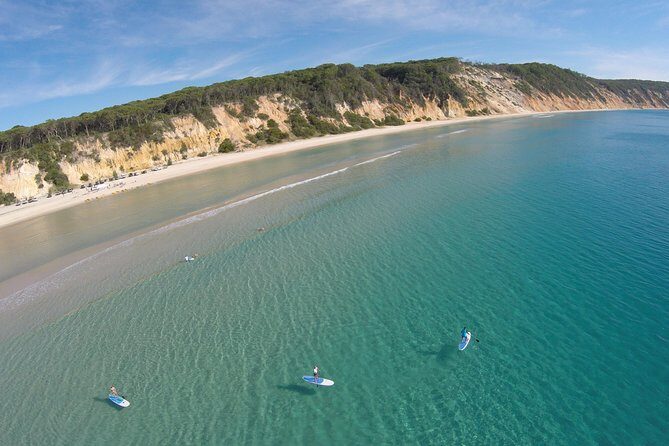 From Noosa: Stand Up Paddle Wildlife & Beach 4X4 Adventure - Key Points