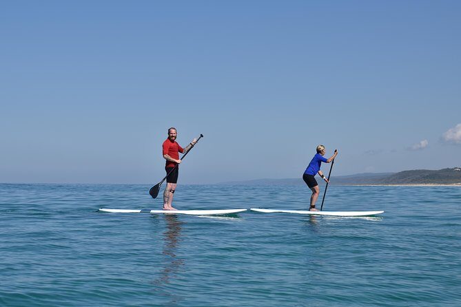 From Noosa: Stand Up Paddle Wildlife & Beach 4X4 Adventure - Authentic Feedback from Past Participants