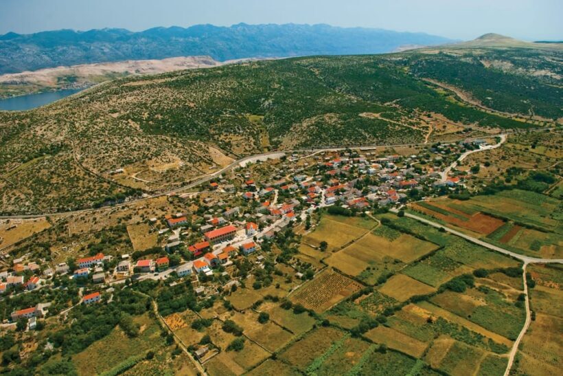 From Novalja: Kolanjsko Blato, Kolan, and Mandre Bike Tour - Key Points