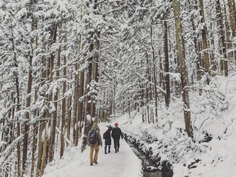From Nozawa Onsen: Snow Monkeys and Zenko-ji Day Trip & Sake - Itinerary Highlights