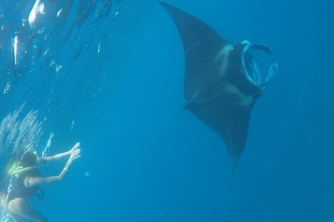 From Nusa Lembongan Manta Snorkeling Trips with Pickup Included - Key Points
