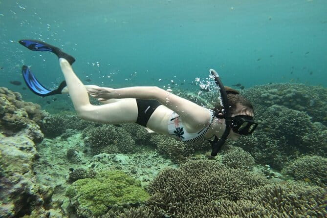 From Nusa Lembongan Manta Snorkeling Trips with Pickup Included - FAQ: Your Questions Answered