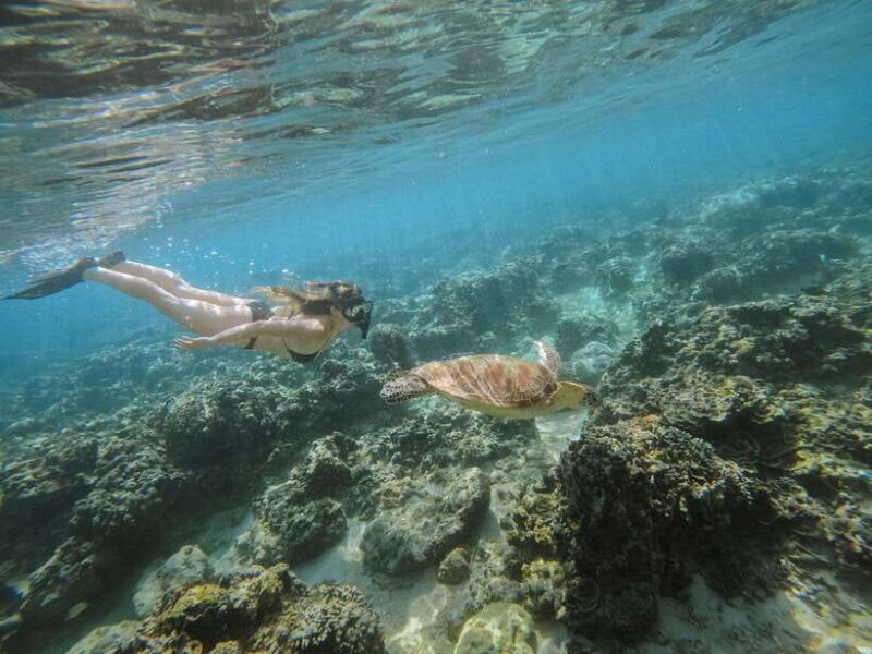 From Nusa Penida: 2D1N Gili Islands Private Snorkeling Tour - A Practical Look at the Nusa Penida to Gili Islands Snorkeling Tour