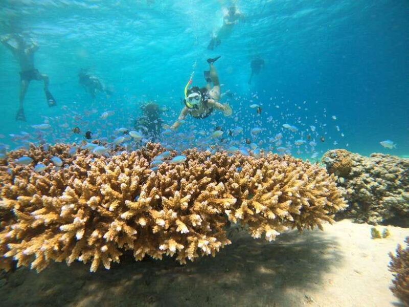 From Nusa Penida: 2D1N Gili Islands Private Snorkeling Tour - Exploring the Itinerary in Detail