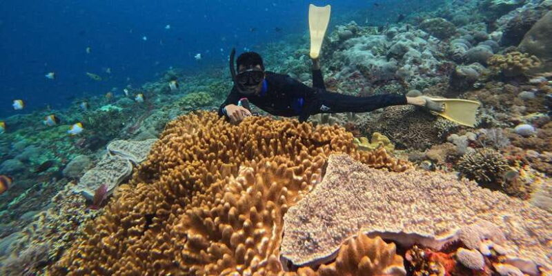 From Nusa Penida: 3 Spots Snorkeling Tour with Manta Rays - FAQs