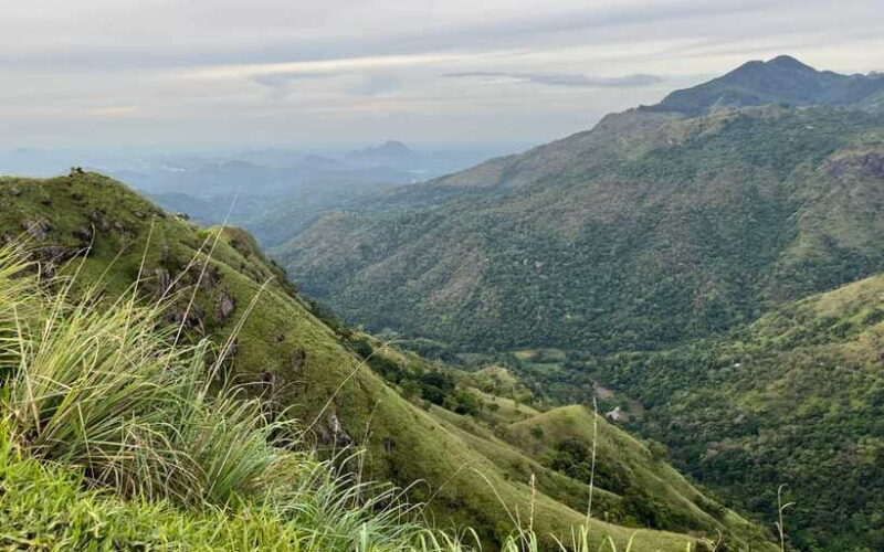 From Nuwara Eliya: Ella City Tour with Little Adam's Peak - The Sum Up: Is This Tour Right for You?