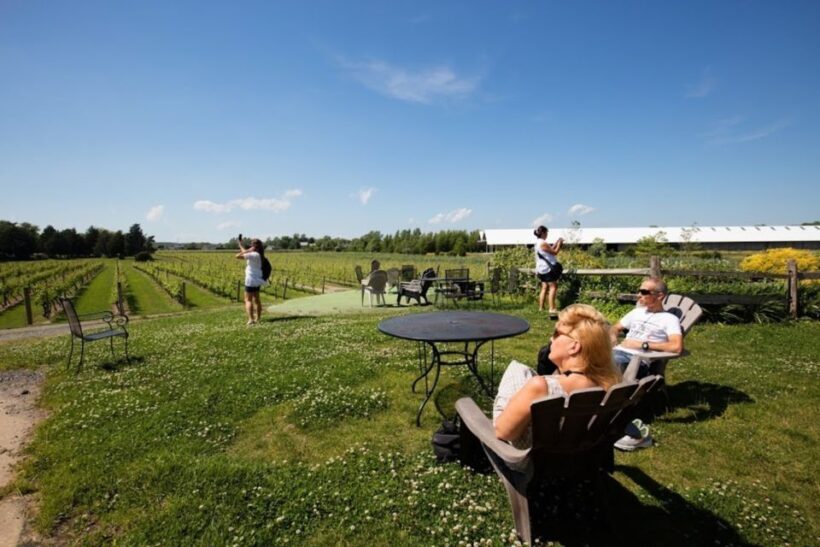 From NYC: Hamptons, Sag Harbor, and Outlet Shopping Day Trip - Who Will Enjoy This Tour?