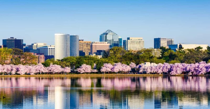 From NYC: Private Washington & Philadelphia Tour in 1 Day - What Makes This Tour Stand Out?