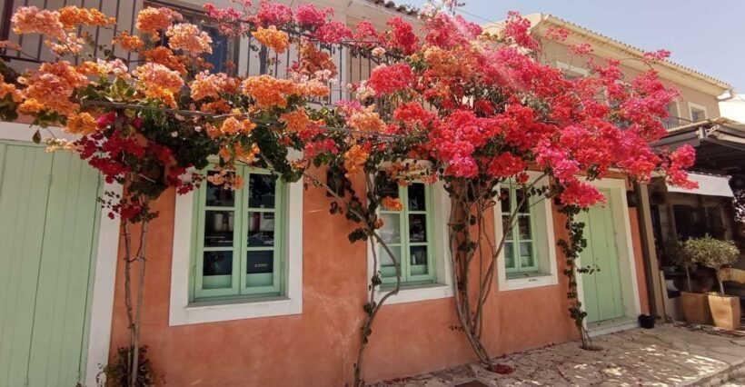 From Nydri: Boat to Kefalonia and Ithaki with Swim Stops - Who This Tour Is Best For