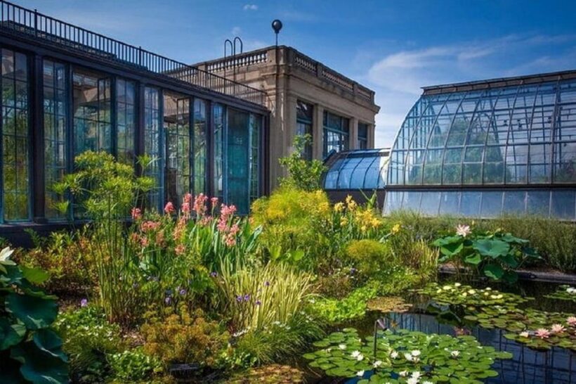From NY:Shri Swaminarayan Mandir,Longwood Gardens 1-day Tour - Key Points