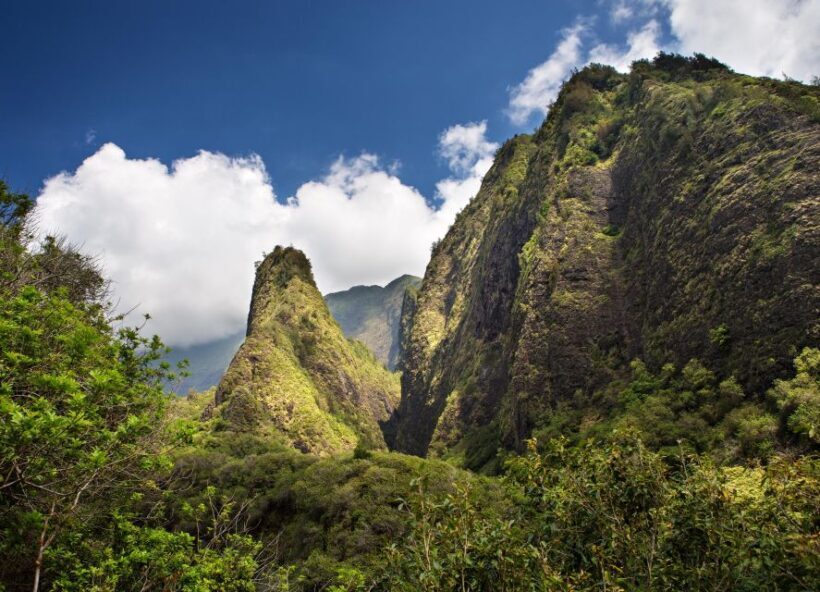 From Oahu: Best of Maui/Haleakala - Sips, Sites & Bites - Who is This Tour Best For?