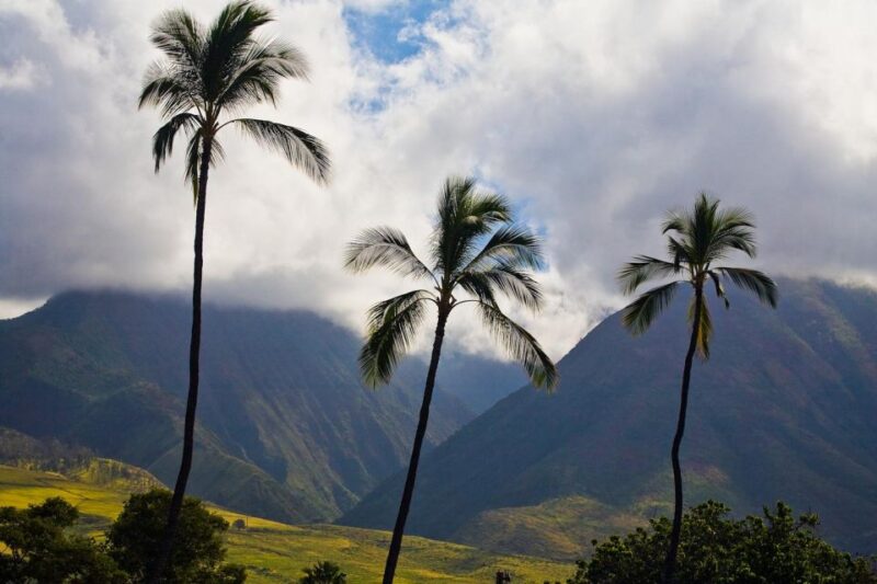 From Oahu: Best of Maui/Haleakala - Sips, Sites & Bites - Who Would Love This Tour?