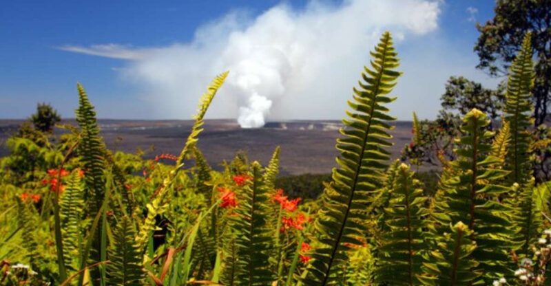 From Oahu: Big Island Volcano Adventure - Why Travelers Love It (and Why They Might Not)
