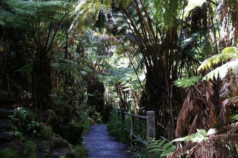 From Oahu: Hawaii Volcanoes National Park Experience - The Value of the Tour