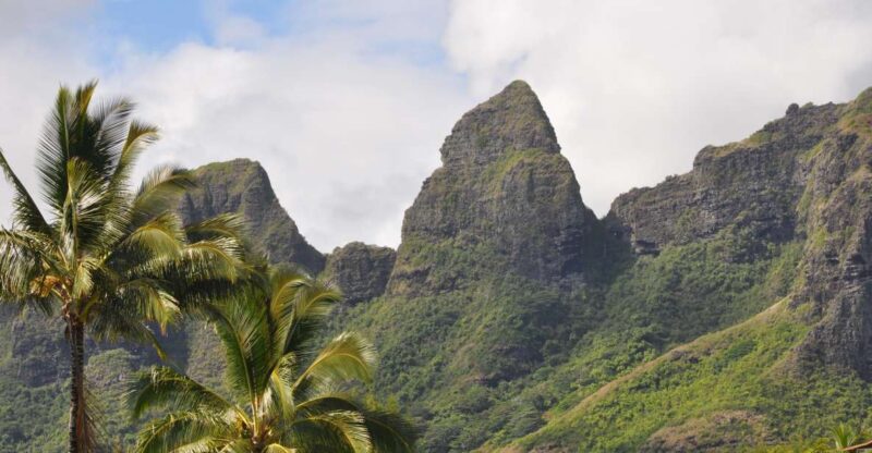 From Oahu: Kauai Highlights & Movie Sites - The Experience of Transportation and Group Size