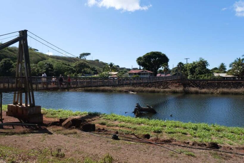 From Oahu: Kauai Waimea Canyon and Koke'e Adventure Tour - Who Should Consider This Tour?