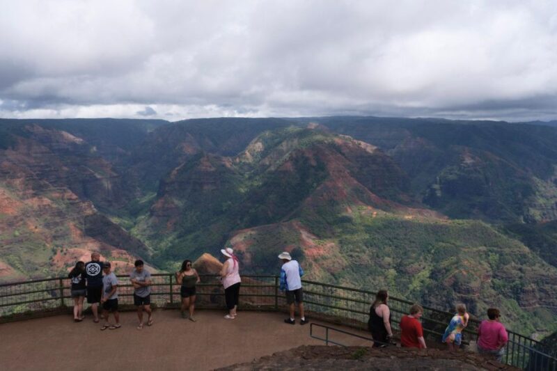 From Oahu: Kauai Waimea Canyon and Koke'e State Park Tour - Who Will Love This Tour?