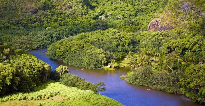 From Oahu: Kauai Waimea Canyon & Wailua River Tour - Wailua River and Fern Grotto: A Lush Cruise