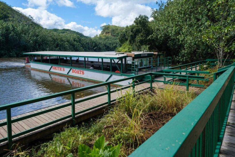 From Oahu: Kauai Waimea Canyon & Wailua River Tour - Practical Aspects: What’s Included and What’s Not