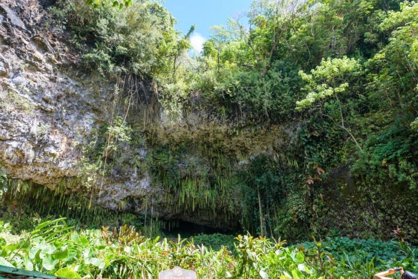 From Oahu: Kauai Waimea Canyon & Wailua River Tour - Real Travelers’ Perspectives
