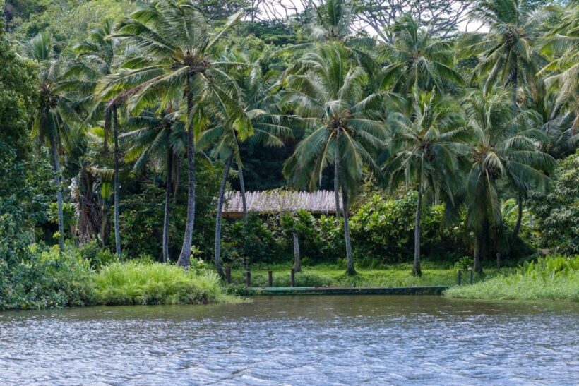From Oahu: Kauai Waimea Canyon & Wailua River Tour - Cost and Value