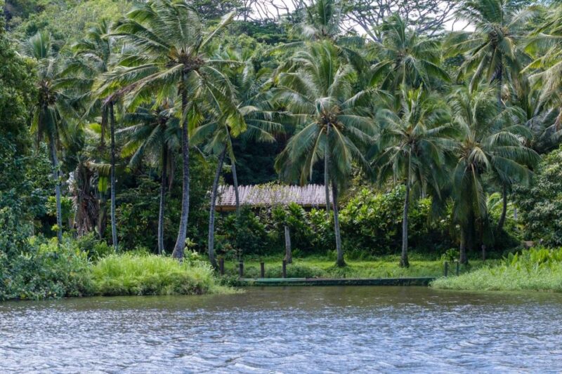 From Oahu: Kauai Waimea Canyon & Wailua River Tour - Logistics and Practicalities