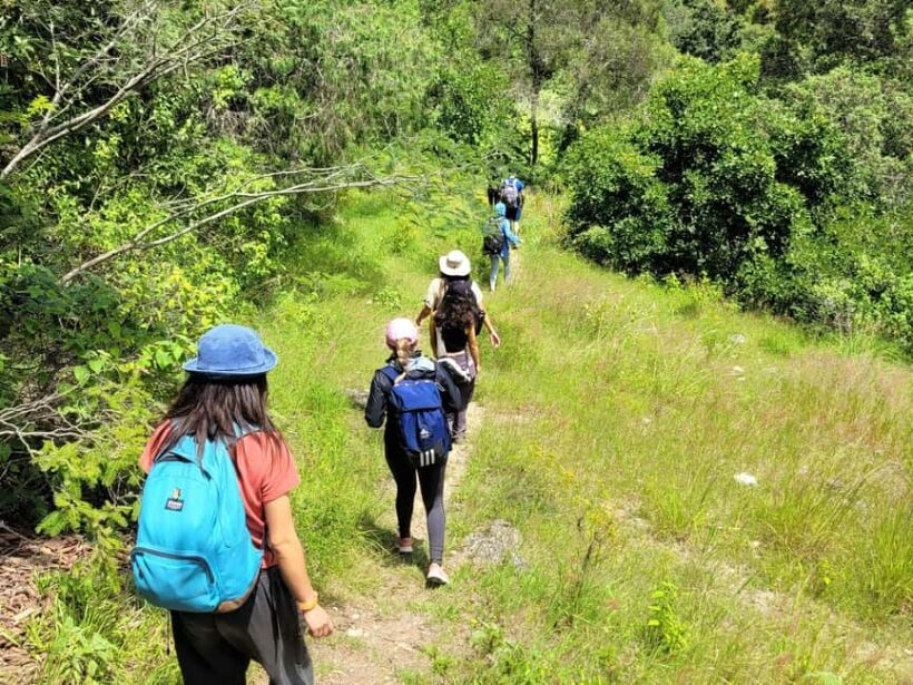 From Oaxaca: Apoala Magic Waterfalls Hike & Swim Adventure - An In-Depth Look at the Experience