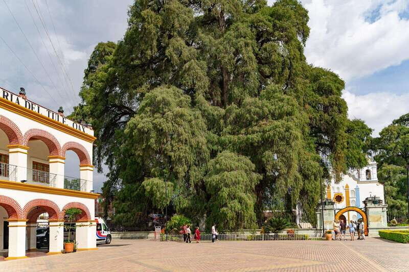 From Oaxaca: City, Mitla, and Mezcal Factory Tour - The Perfect Introduction to Oaxaca’s Rich Heritage