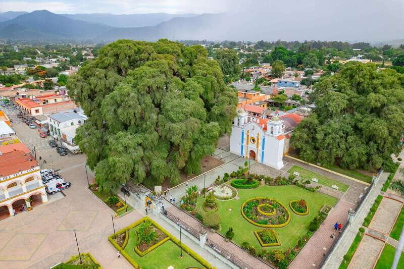 From Oaxaca: City, Mitla, and Mezcal Factory Tour - Mezcal Tasting: A Regional Flavor