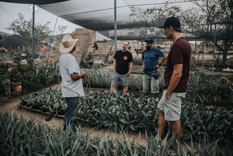 From Oaxaca : Crafts & Cuisine All Included Guided Tour - In-Depth Analysis: What This Tour Means for Your Oaxaca Visit