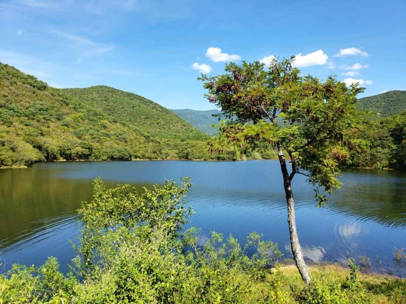 From Oaxaca: MTB Guided Bike Tour, Tule Tree & Lake Half-Day - Frequently Asked Questions