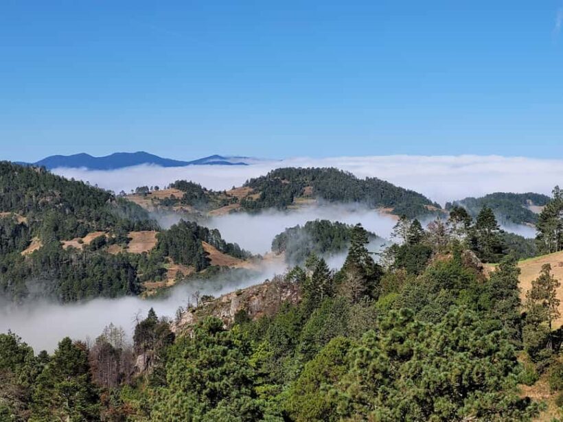 From Oaxaca: Sierra Norte Hike & Indigenous Village Full-Day - An In-Depth Look at the Experience