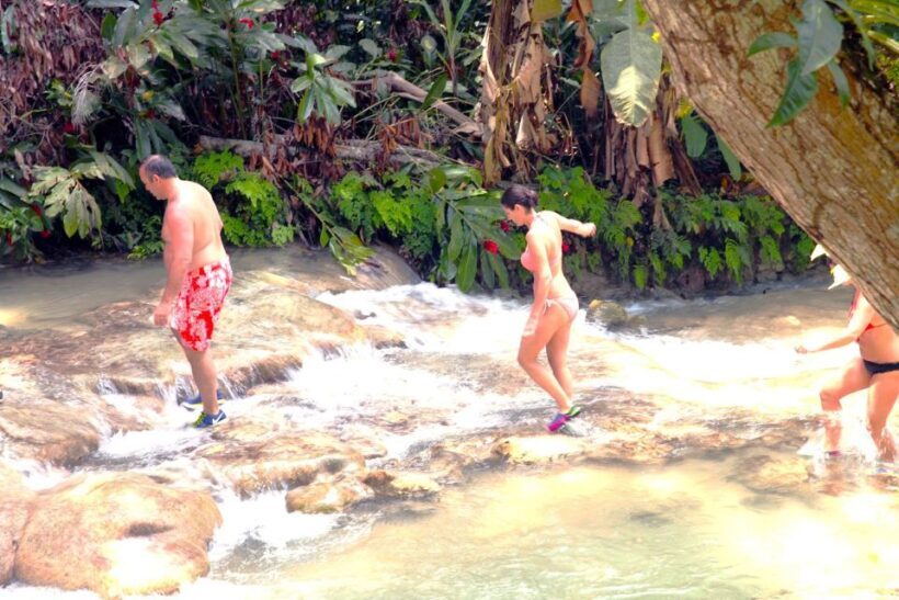 From Ocho Rios: The Blue Hole and Dunn's River Falls Trip - Who Will Love This Tour