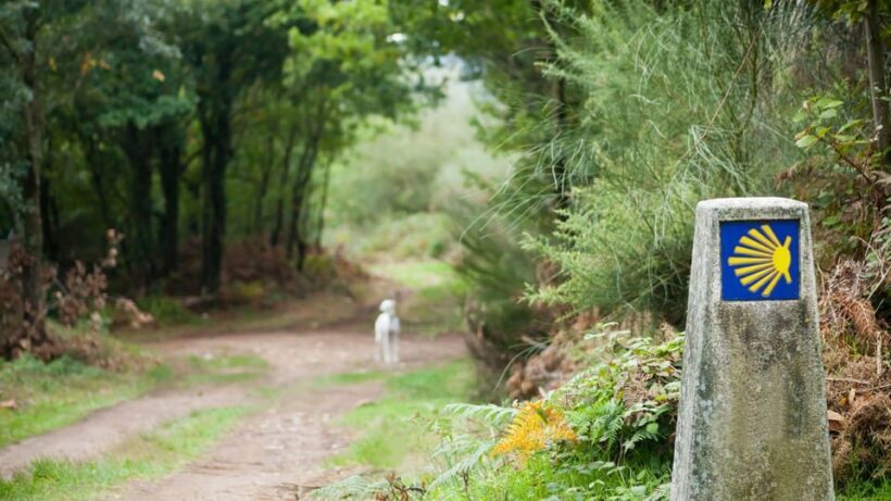 From Oia: 9-Day Guided Camino Walking Tour to Santiago - FAQs