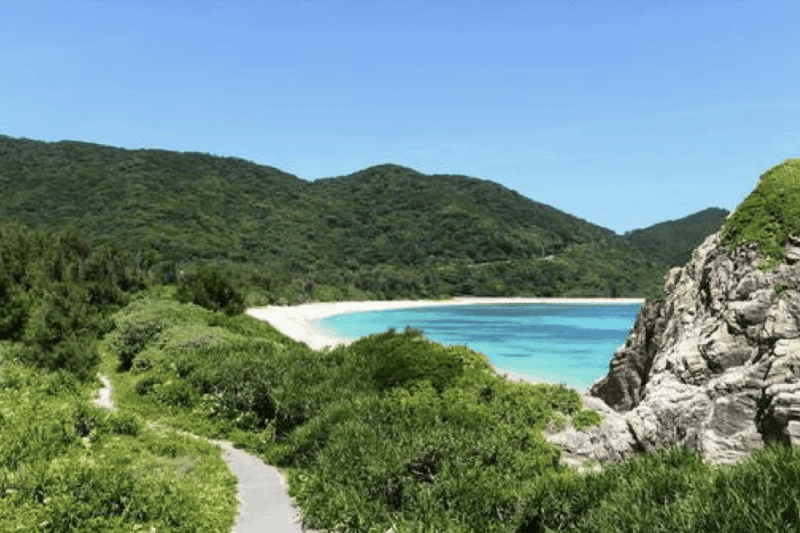 From Okinawa: Kerama Islands Snorkeling Day Trip - Cultural and Ecological Insights