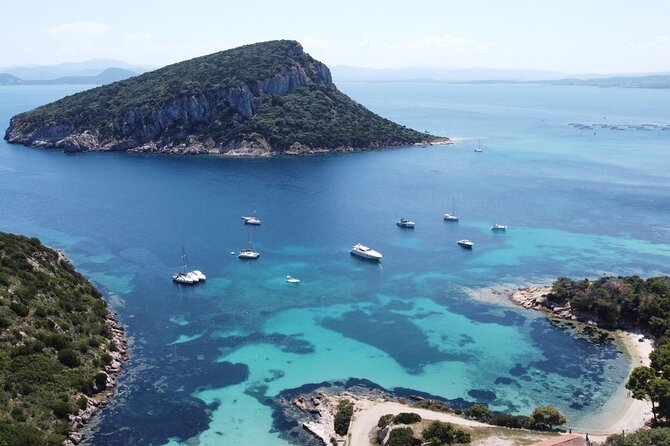 From Olbia: catamaran tour between Tavolara and Cala Moresca - What Past Travelers Say