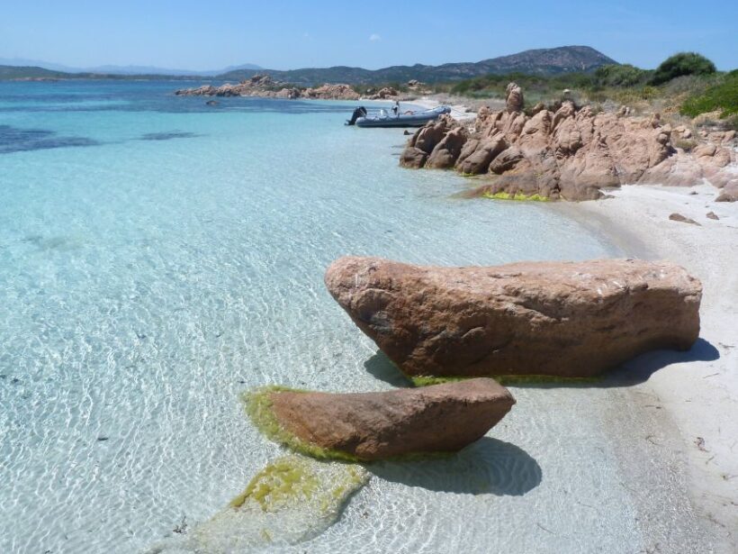 From Olbia: Dinghy Tour with Snorkeling to Tavolara Island - Key Points