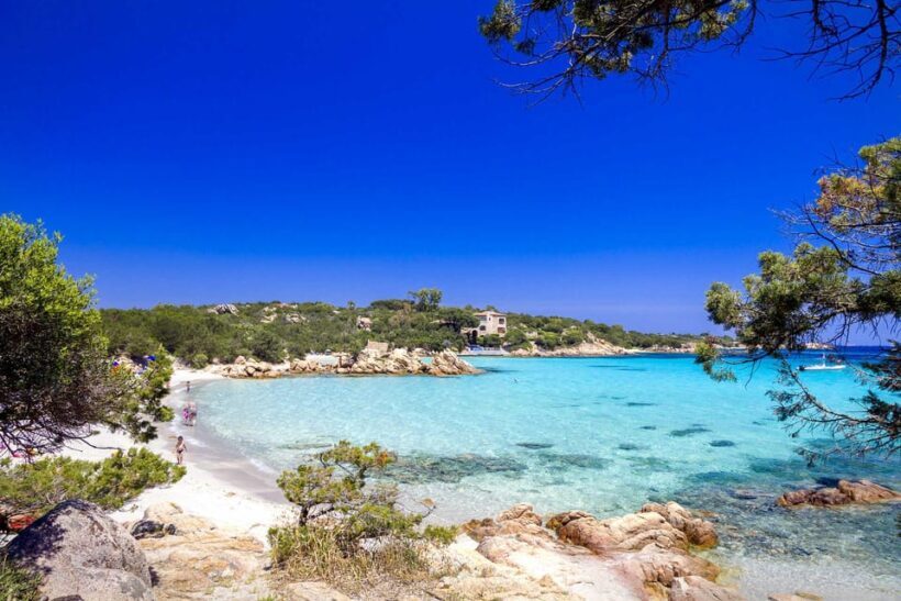 From Olbia | Drive a classic car till Porto Cervo - What to Expect From the Experience