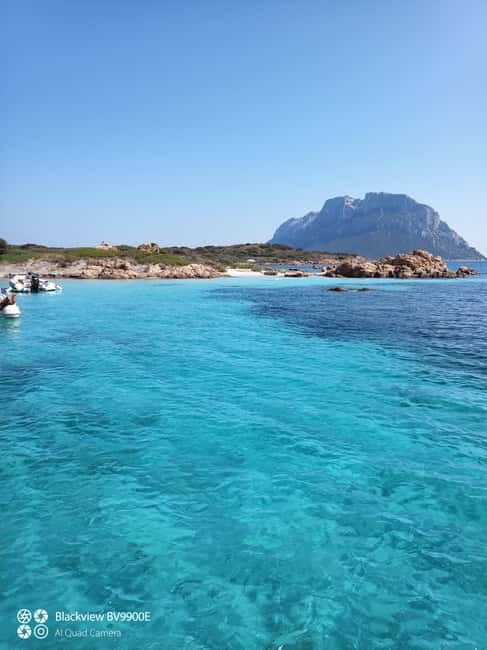 From Olbia: Tavolara and Molara archipelago day by boat - FAQ