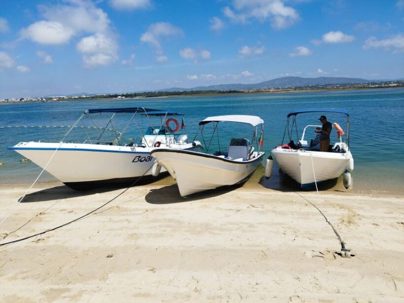 From Olhão: Ria Formosa 3-Island Full-Day Tour - Why This Tour Is a Great Deal