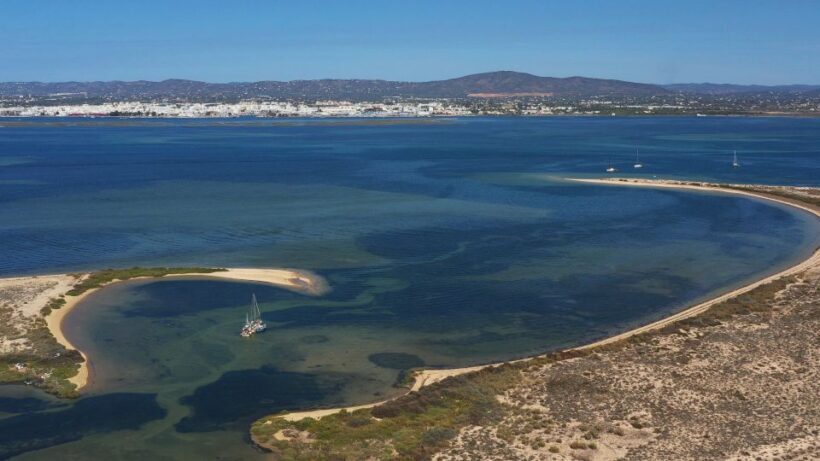From Olhão: Ria Formosa 3-Island Full-Day Tour - Final Thoughts: Who Will Love This Tour?