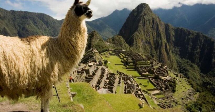From Ollantaytambo: 2-day Machu Picchu Tour - The Value of the Tour: Price and Whats Included