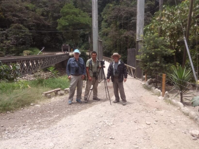 From Ollantaytambo: Machu Picchu Birding Private Tour - The Sum Up: Is This Tour Right for You?