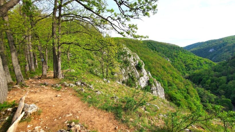 From Oradea: Gorges of Crisul Repede River - What Travelers Are Saying
